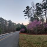 Webb Bridge Park Trail, Georgia - 768 Reviews, Map | AllTrails