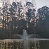 Webb Bridge Park Trail, Georgia - 697 Reviews, Map | AllTrails