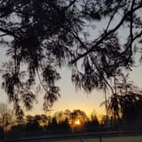 Webb Bridge Park Trail, Georgia - 768 Reviews, Map | AllTrails