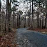 Webb Bridge Park Trail, Georgia - 768 Reviews, Map | AllTrails