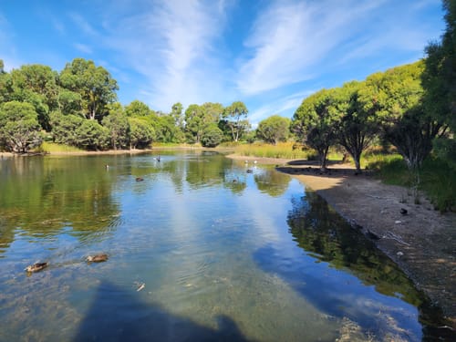 Best Hikes and Trails in Lakes Park | AllTrails