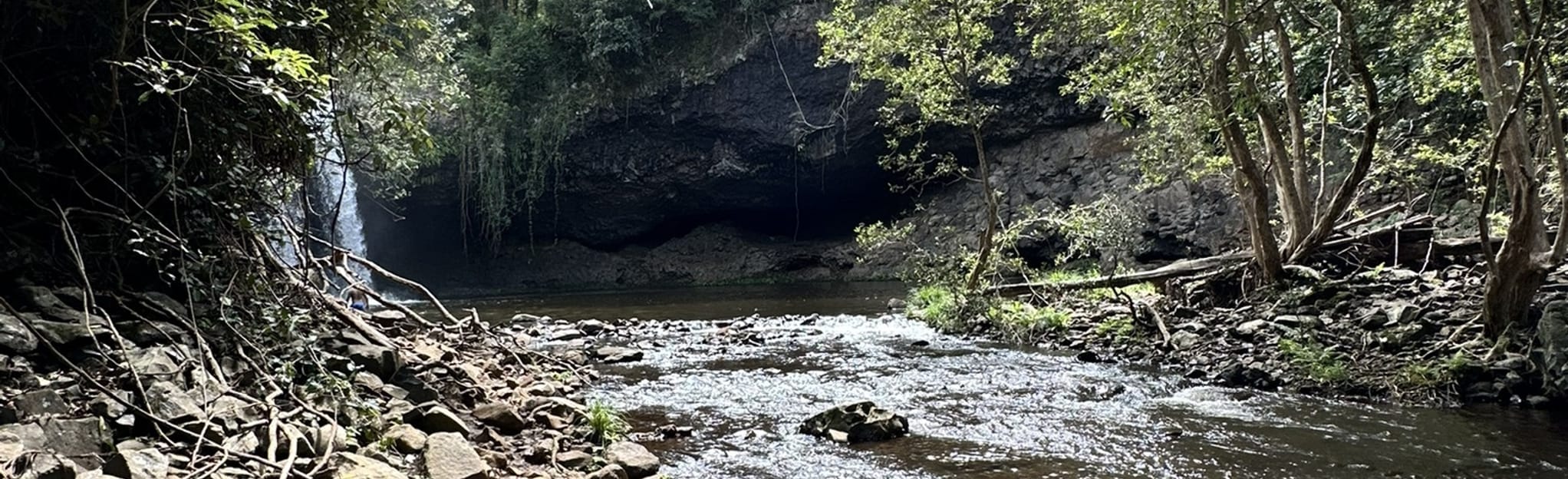 Killen Falls, New South Wales, Australia - 80 Reviews, Map | AllTrails