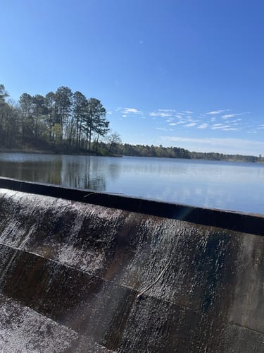 Best Hikes and Trails in Bringle Lake Wilderness Area | AllTrails