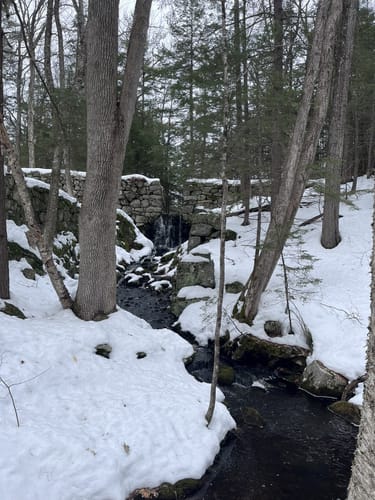 2023 Best Forest Trails in Meredith | AllTrails