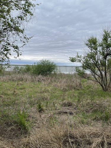 Best Hikes and Trails in Lake Corpus Christi State Park | AllTrails