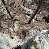 Coon Ridge Trail, Oklahoma - 341 Reviews, Map | AllTrails