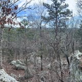 Coon Ridge Trail, Oklahoma - 341 Reviews, Map | AllTrails