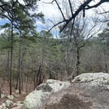 Coon Ridge Trail, Oklahoma - 341 Reviews, Map | AllTrails