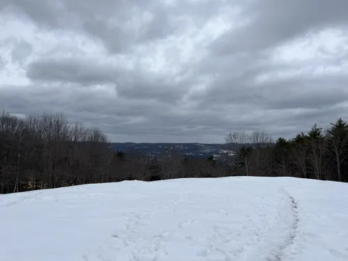 Best Hikes and Trails in Balch Hill Natural Area | AllTrails