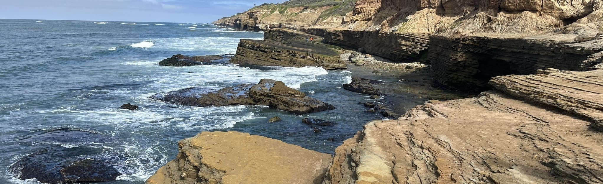 Point Loma Tidepools and Coastal Trail, California - 618 Reviews, Map ...