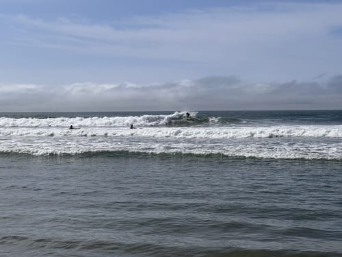 Best Hikes and Trails in Silver Strand State Beach | AllTrails