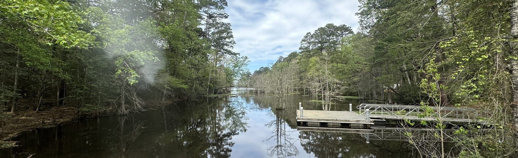 Slough Trail: 196 Reviews, Map - Texas | AllTrails