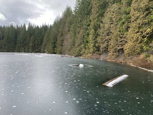 Best Hikes and Trails in Cat Lake Recreation Site | AllTrails