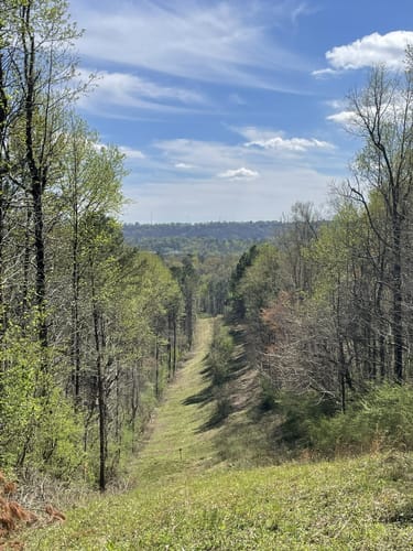 2023 Best 10 Trails in Red Mountain Park | AllTrails