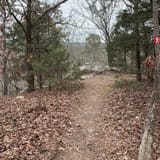 Coon Ridge Trail, Oklahoma - 341 Reviews, Map | AllTrails