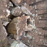 Coon Ridge Trail, Oklahoma - 341 Reviews, Map | AllTrails