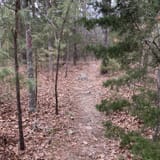 Coon Ridge Trail, Oklahoma - 341 Reviews, Map | AllTrails
