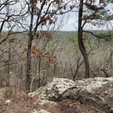 Coon Ridge Trail, Oklahoma - 341 Reviews, Map | AllTrails