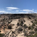 Yellow Knolls Trail, Utah - 422 Reviews, Map | AllTrails