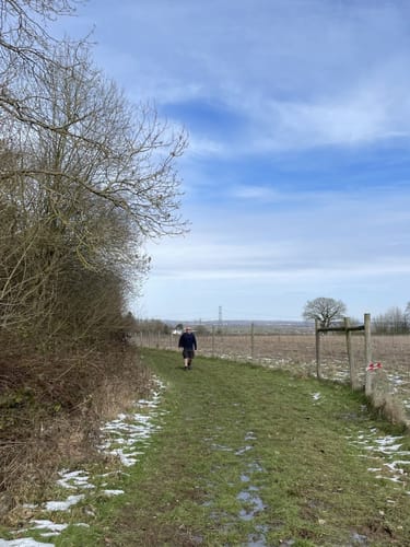 Best Hikes and Trails in Robin Wood | AllTrails