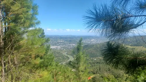 2023 Best Trails, Walks, and Paths in Cayey | AllTrails