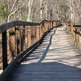 (Doug Ghee) Bald Rock Boardwalk, Alabama - 486 Reviews, Map | AllTrails