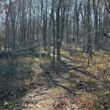 (Doug Ghee) Bald Rock Boardwalk, Alabama - 486 Reviews, Map | AllTrails