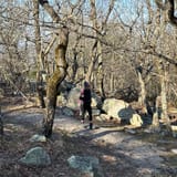 (Doug Ghee) Bald Rock Boardwalk, Alabama - 486 Reviews, Map | AllTrails