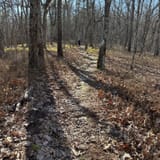 (Doug Ghee) Bald Rock Boardwalk, Alabama - 486 Reviews, Map | AllTrails