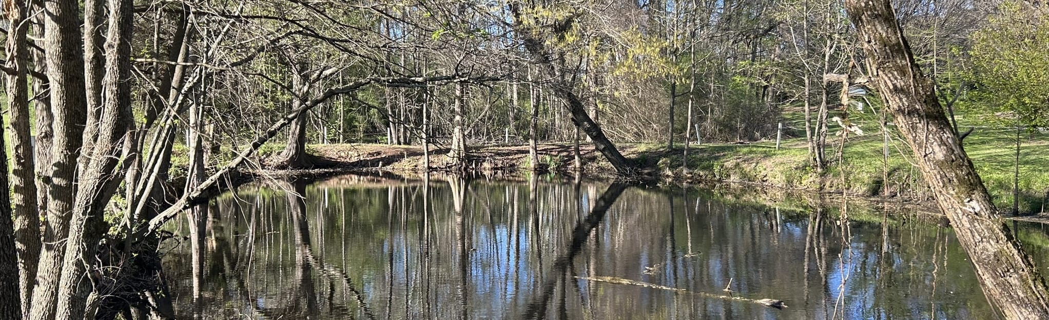 Kiesel Park Inner Loop - Alabama | AllTrails
