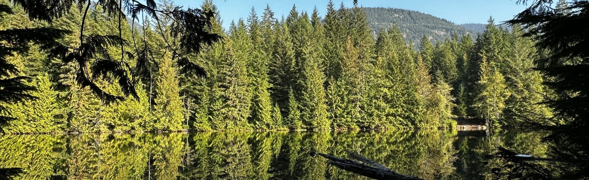 Jack's, Mike's, Alec Lake, Cliff's Corners and Mashiter Trail: 8 ...