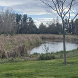 Davis-Covell Greenbelt Trail, California - 283 Reviews, Map | AllTrails