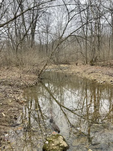 Best Hikes and Trails in William R Logan Conservation Area | AllTrails