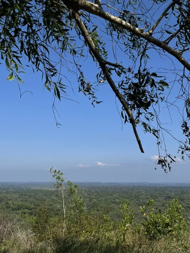 Best Hikes and Trails in Sungai Basong Recreational Park | AllTrails