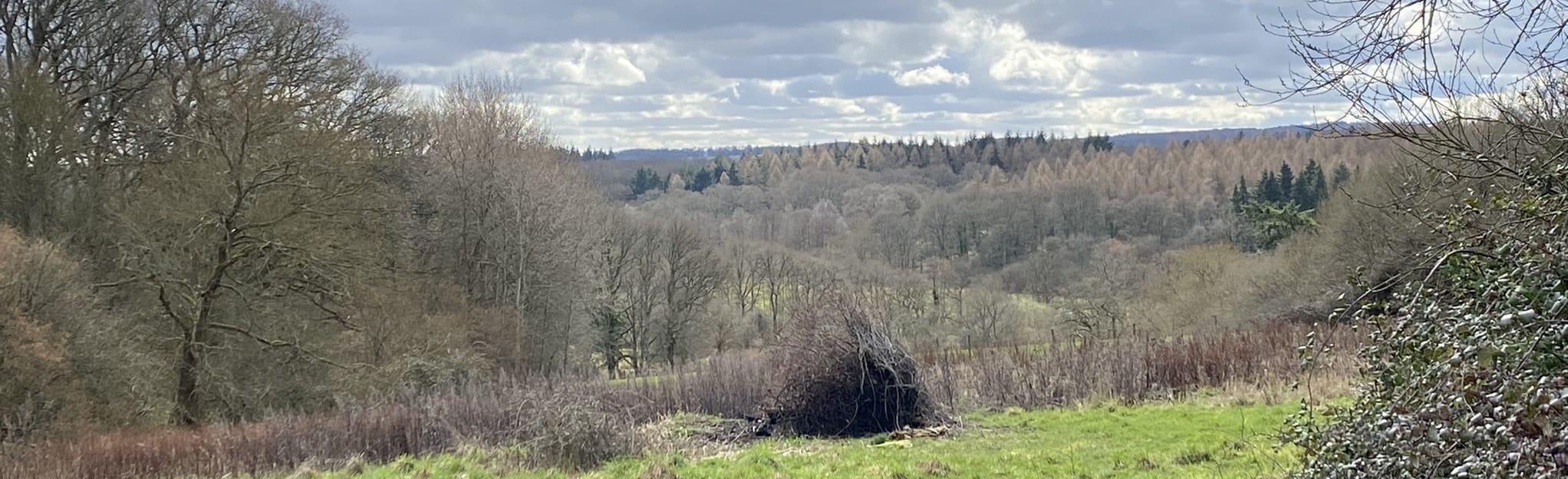 Thatcham and Kingsclere Circular, Berkshire, England - 2 Reviews, Map ...