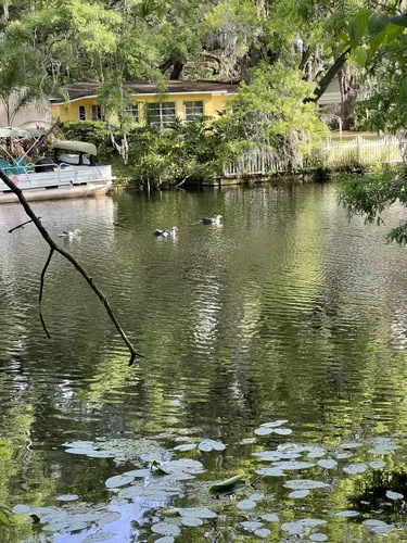 Best Hikes and Trails in Temple Terrace Riverfront Park | AllTrails