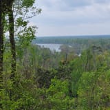 Torreya Trail, Florida - 368 Reviews, Map | AllTrails
