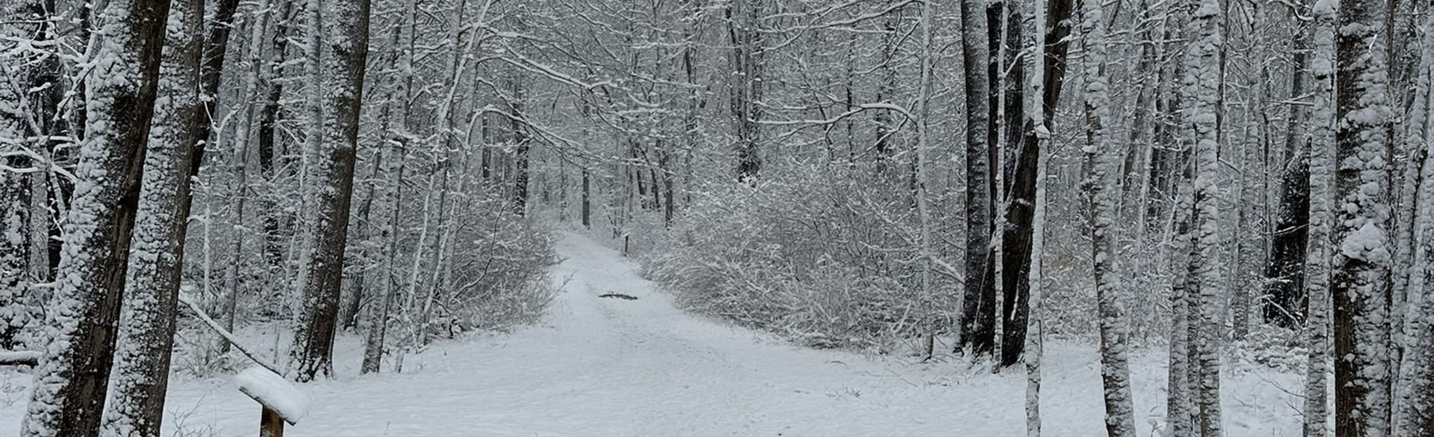 Mansfield Bike Path, New Jersey - 35 Reviews, Map | AllTrails