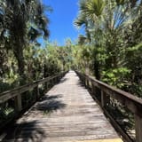 Graham Swamp Trail, Florida - 358 Reviews, Map | AllTrails