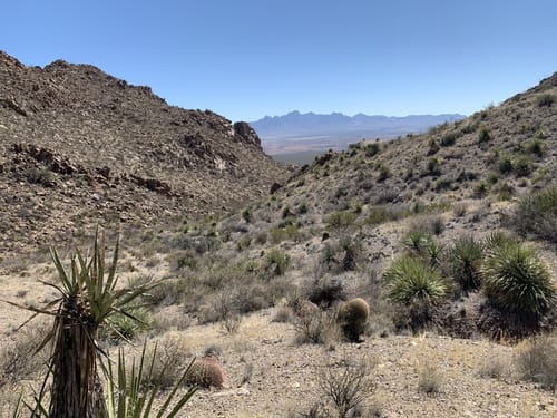 Best Hikes and Trails in Doña Ana Mountains ACEC | AllTrails