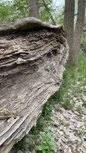 Best Hikes and Trails in Helton Nature Park | AllTrails