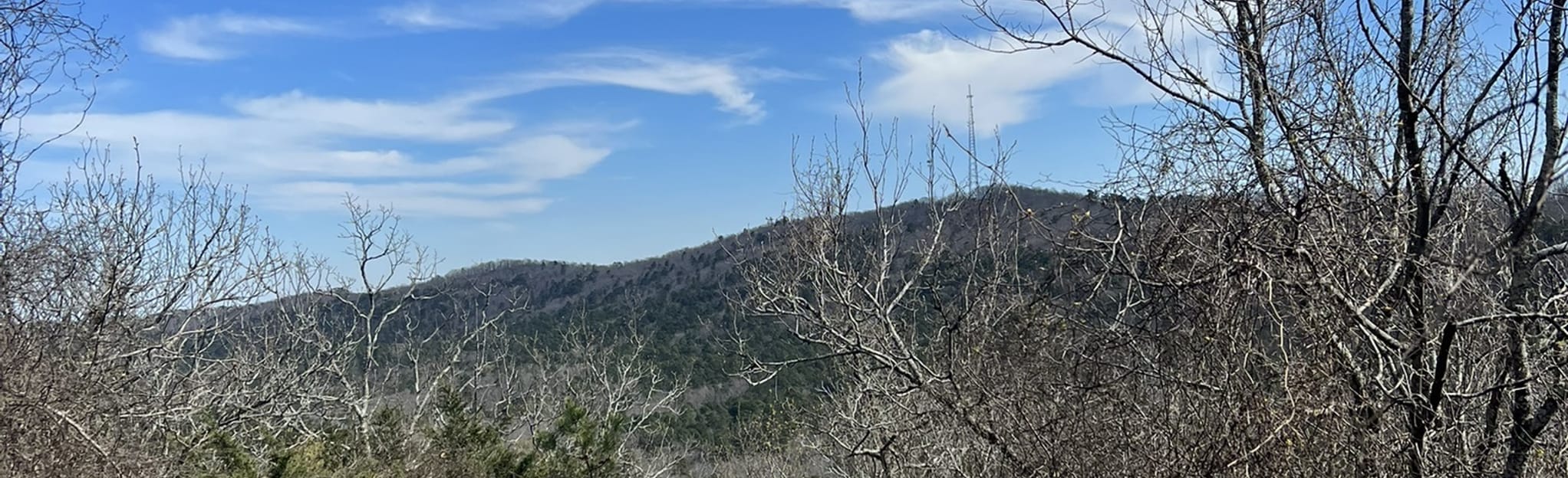 West Mountain via Sunset Trail, Arkansas - 143 Reviews, Map | AllTrails