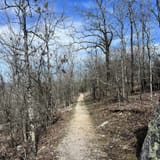 West Mountain via Sunset Trail, Arkansas - 156 Reviews, Map | AllTrails