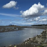 Padilla Bay Trail, Washington - 567 Reviews, Map | AllTrails