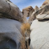 Grapevine Canyon Trail, Nevada - 485 Reviews, Map | AllTrails
