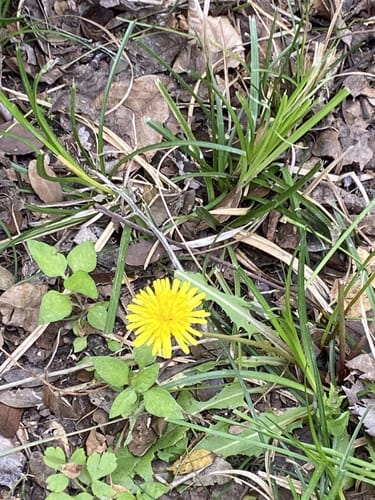 Best Hikes and Trails in Addicks Reservoir | AllTrails