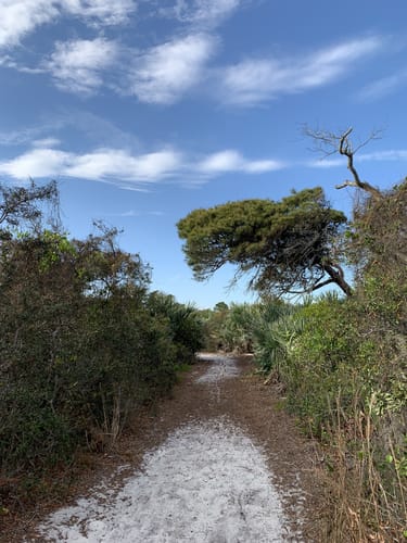 Best Hikes and Trails in Jupiter Inlet Lighthouse Outstanding Natural ...