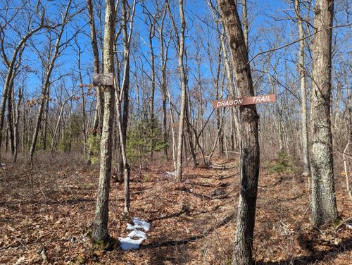 Escape To Nature's Playground: Unwinding In Massachusetts' Douglas ...