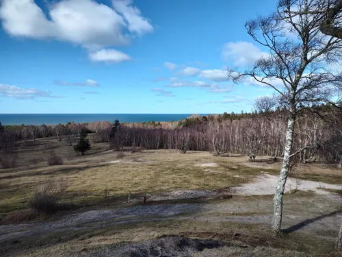 2023 Best 10 Forest Trails in Liseleje | AllTrails