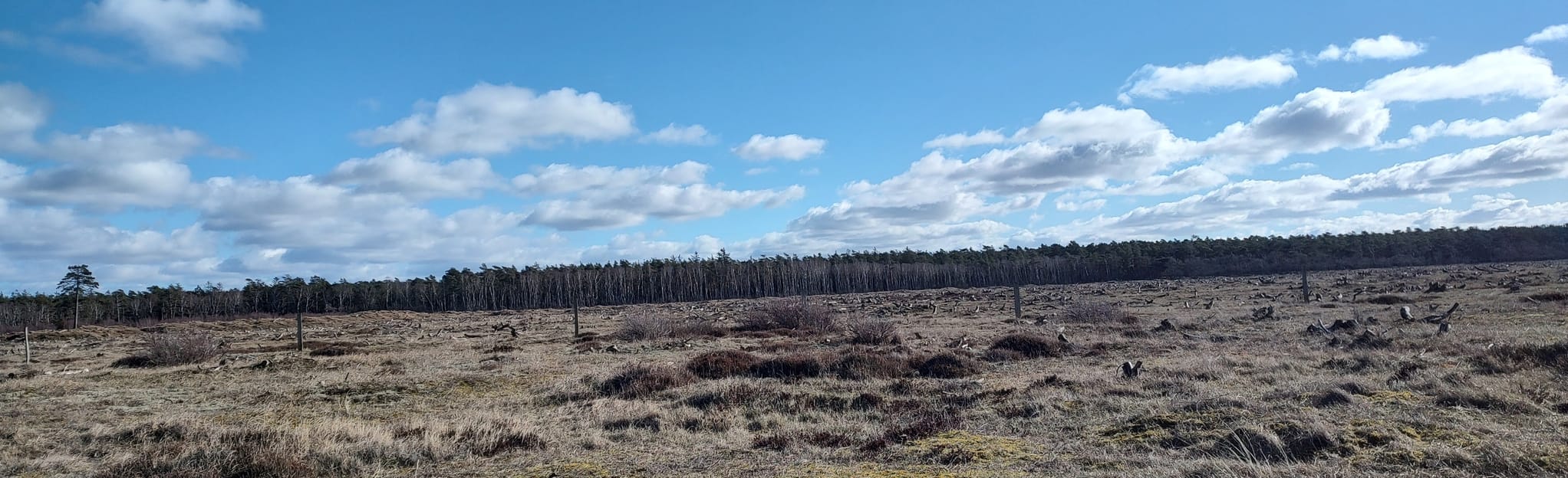 Asserbo Plantation - Stængehus Melby Strand, Capital Region of Denmark ...